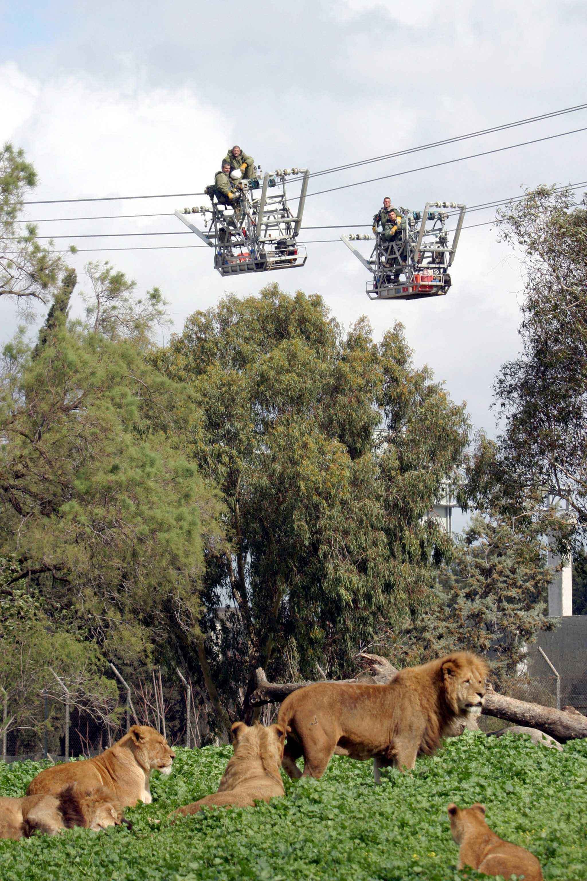 High-Voltage Rail Cart - SAN Ltd - Challenging Engineering